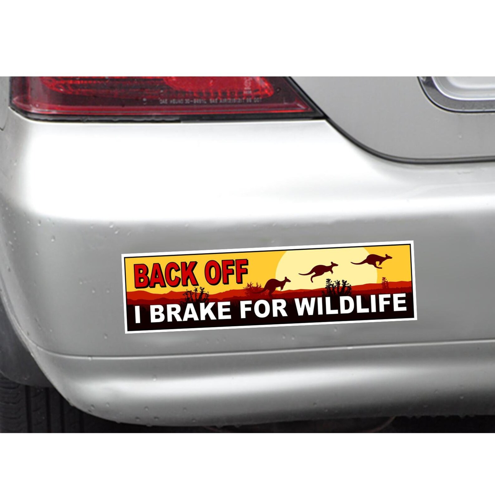 Back off I Brake for Wildlife Australian Kangaroos Vinyl Car Bumper ...