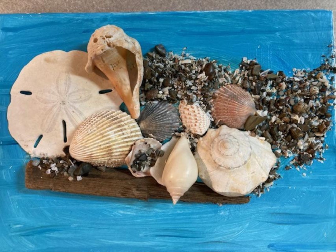 Beach Ocean Themed Box With All Natural Real Materials. Seashells, Sand ...
