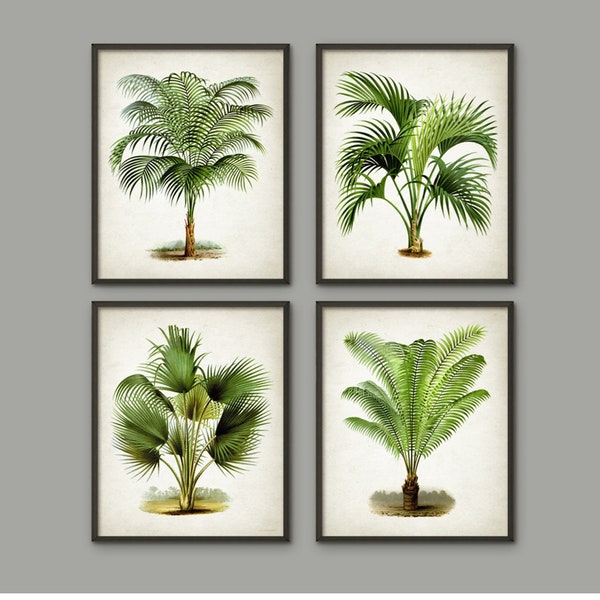 Palm Tree Poster - Etsy