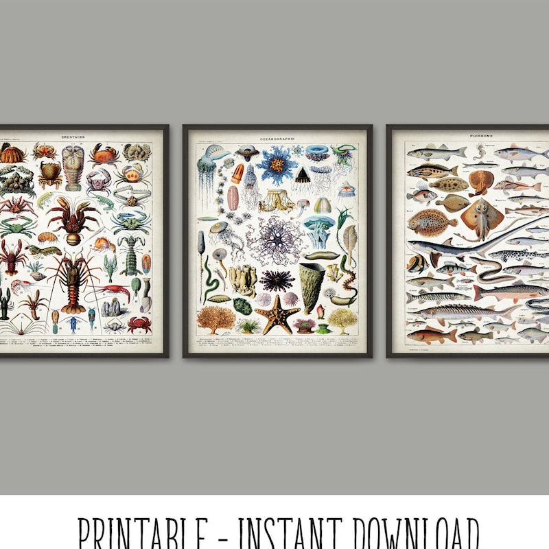 Biology Poster - Etsy