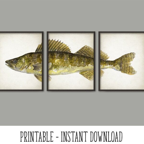 Walleye - Etsy