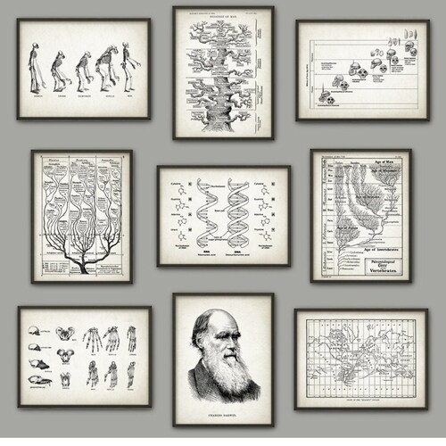 Geological Time Spiral Scale Print Poster - Etsy