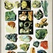Minerals and Gemstones Print Set of 2 - Geology Decor - Precious Stones ...