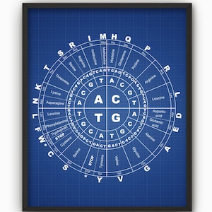 Genetic Code Print, Amino Acids Proteins DNA RNA Base Pairs, Molecular ...