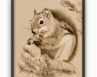 Squirrel drawing | Etsy