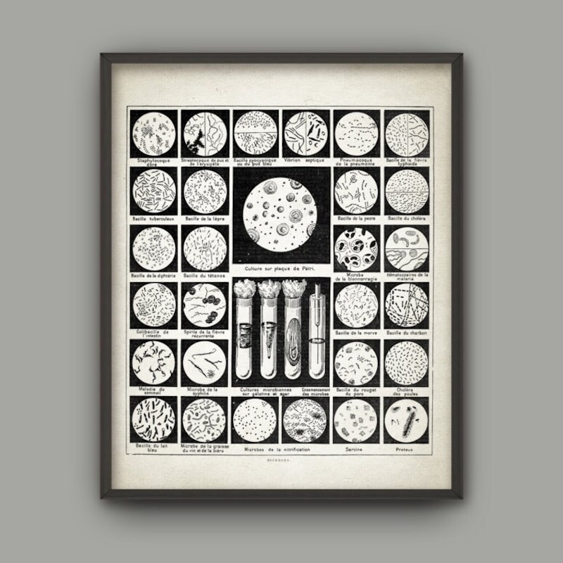 Tuberculosis Posters - Etsy