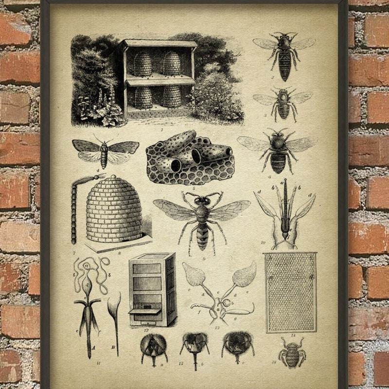 QuantumPrints - Etsy