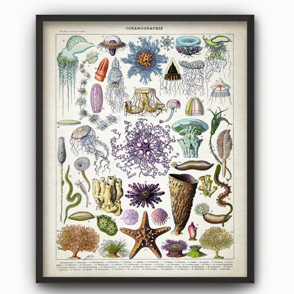 Biology Print - Etsy