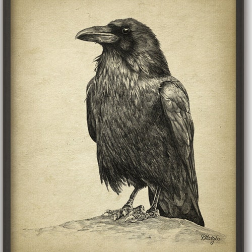 Raven Pencil Drawing Printable Raven Raven Poster Gothic Etsy