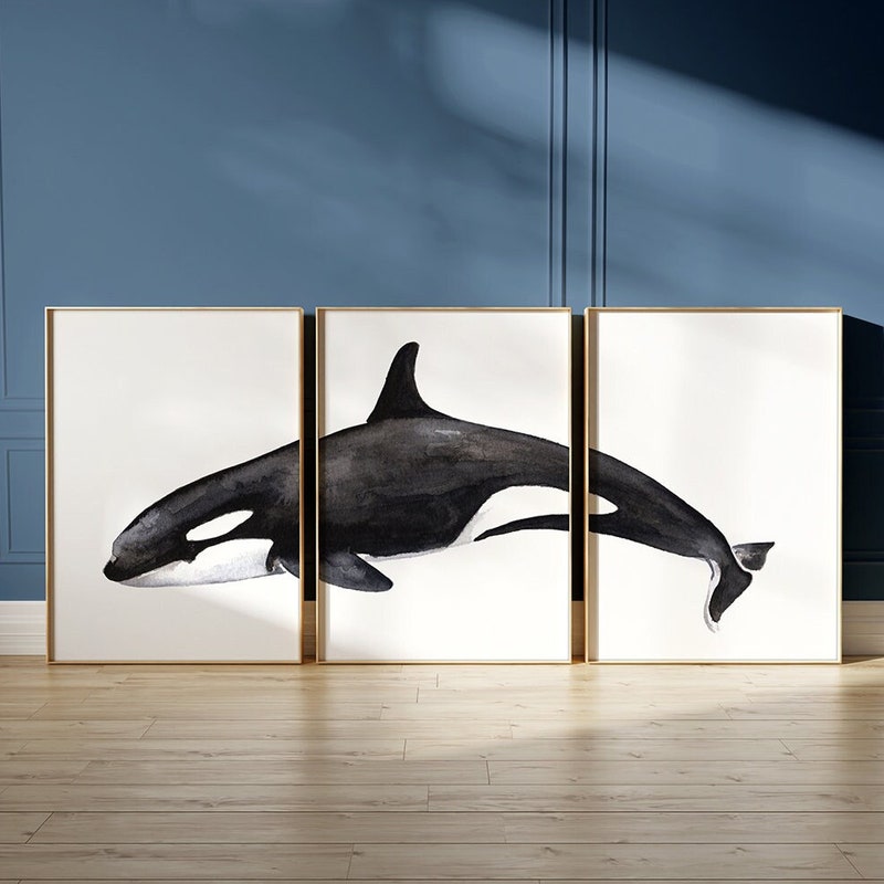 Killer Whale Art - Etsy