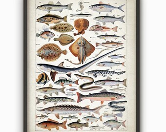 PRINTABLE Oceanography Print Bathroom Poster Vintage | Etsy