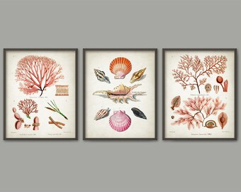 Marine Biology Print Set Of 4 Bathroom Decor Poster | Etsy