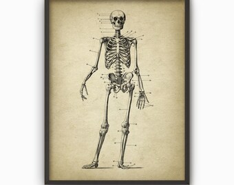 Skeleton poster | Etsy