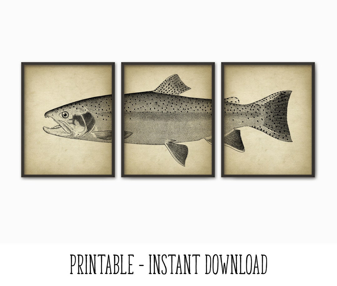 PRINTABLE Rainbow Trout Print Set of 3, North American Game Fish, Trout ...