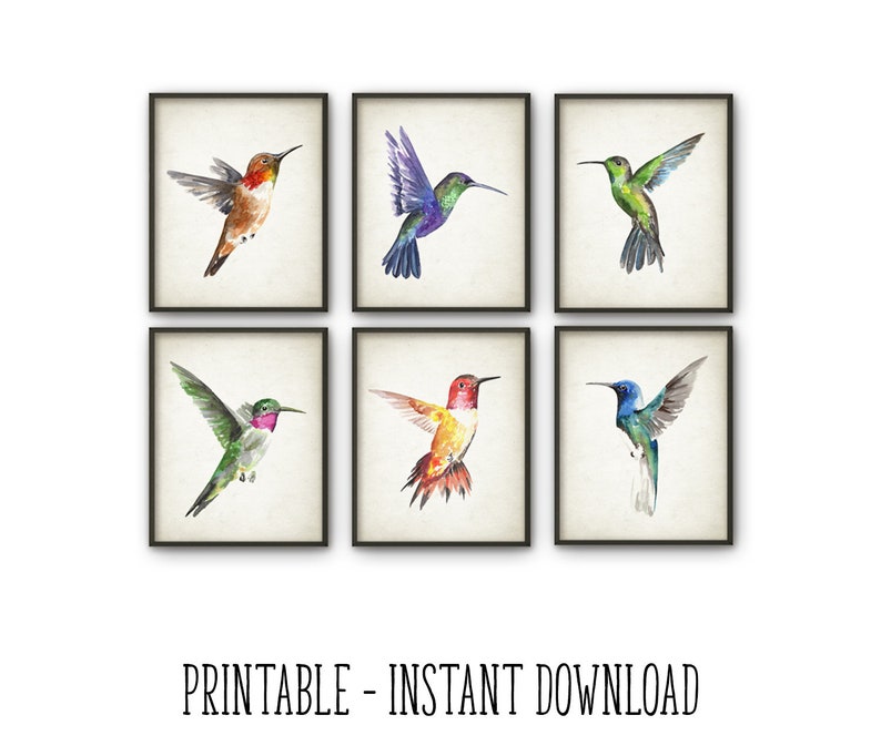 PRINTABLE Set of 6 Hummingbird Images Watercolor Painting - Etsy
