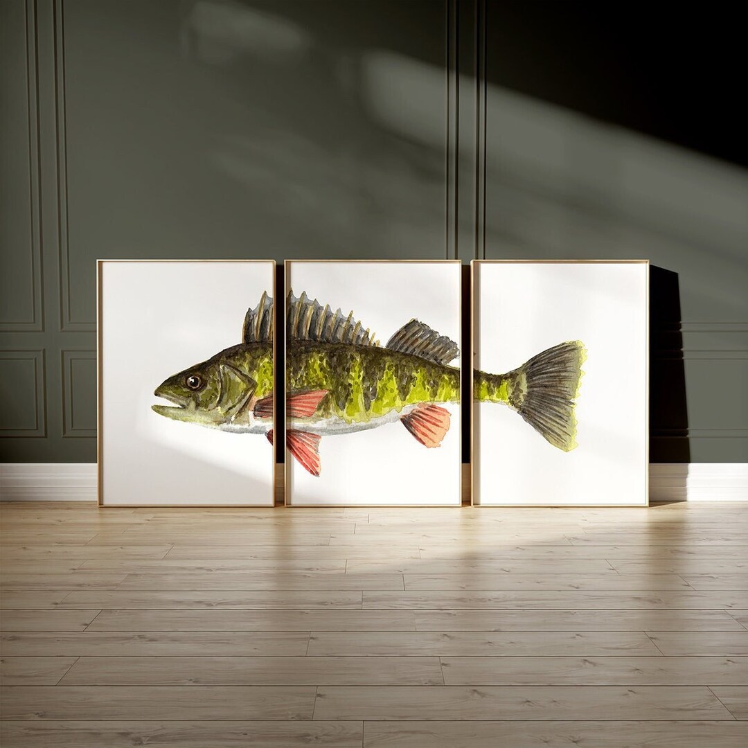 PRINTABLE Yellow Perch Watercolor Print Set of 3 North - Etsy