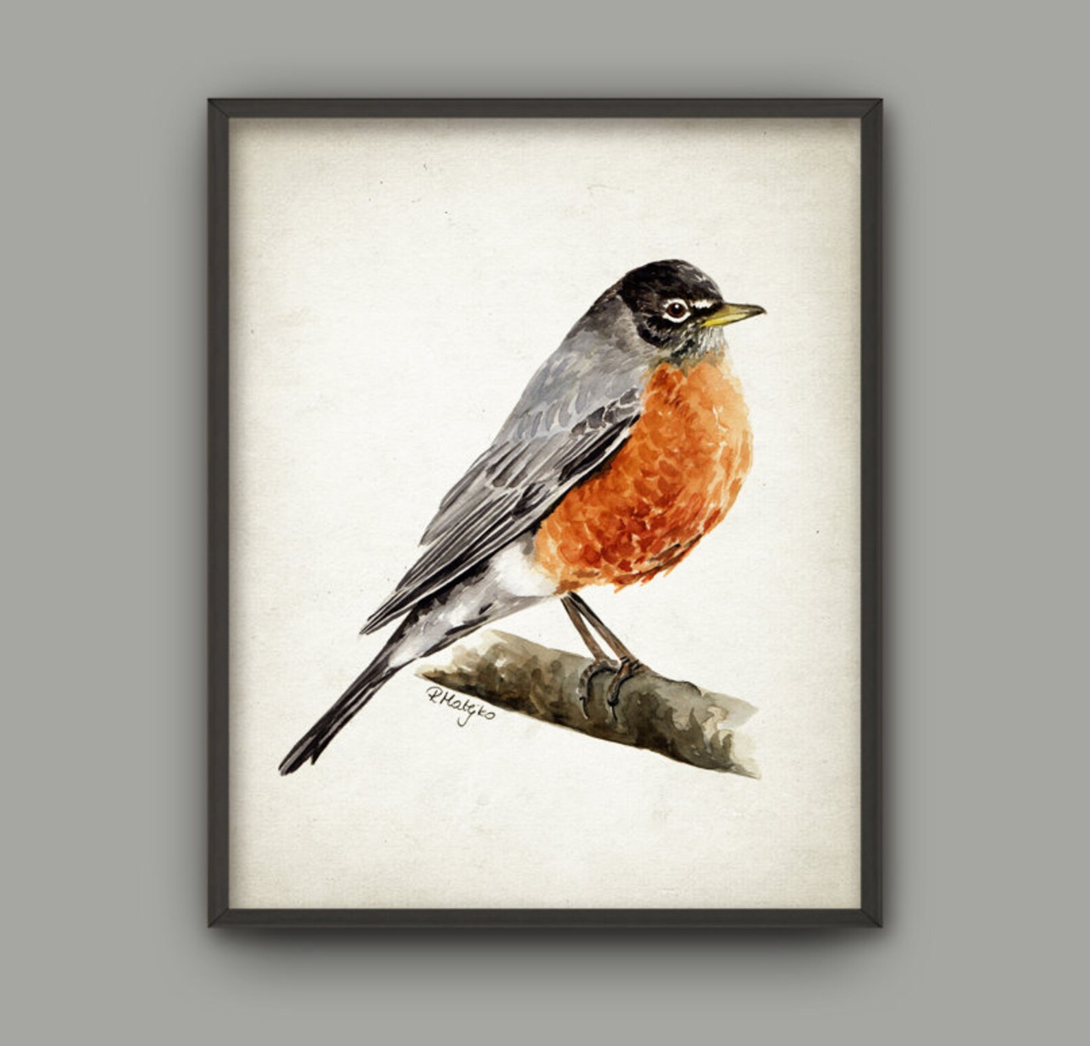 PRINTABLE American Robin Print Watercolor Bird Wall Art - Etsy Ireland