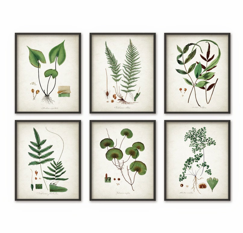 Green Plant Wall Decor Set of 6 - Botanical Art Posters - Antique Plant ...