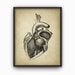 Heart Anatomy Print Set of 3 - Human Heart - Left and Right Auricle ...