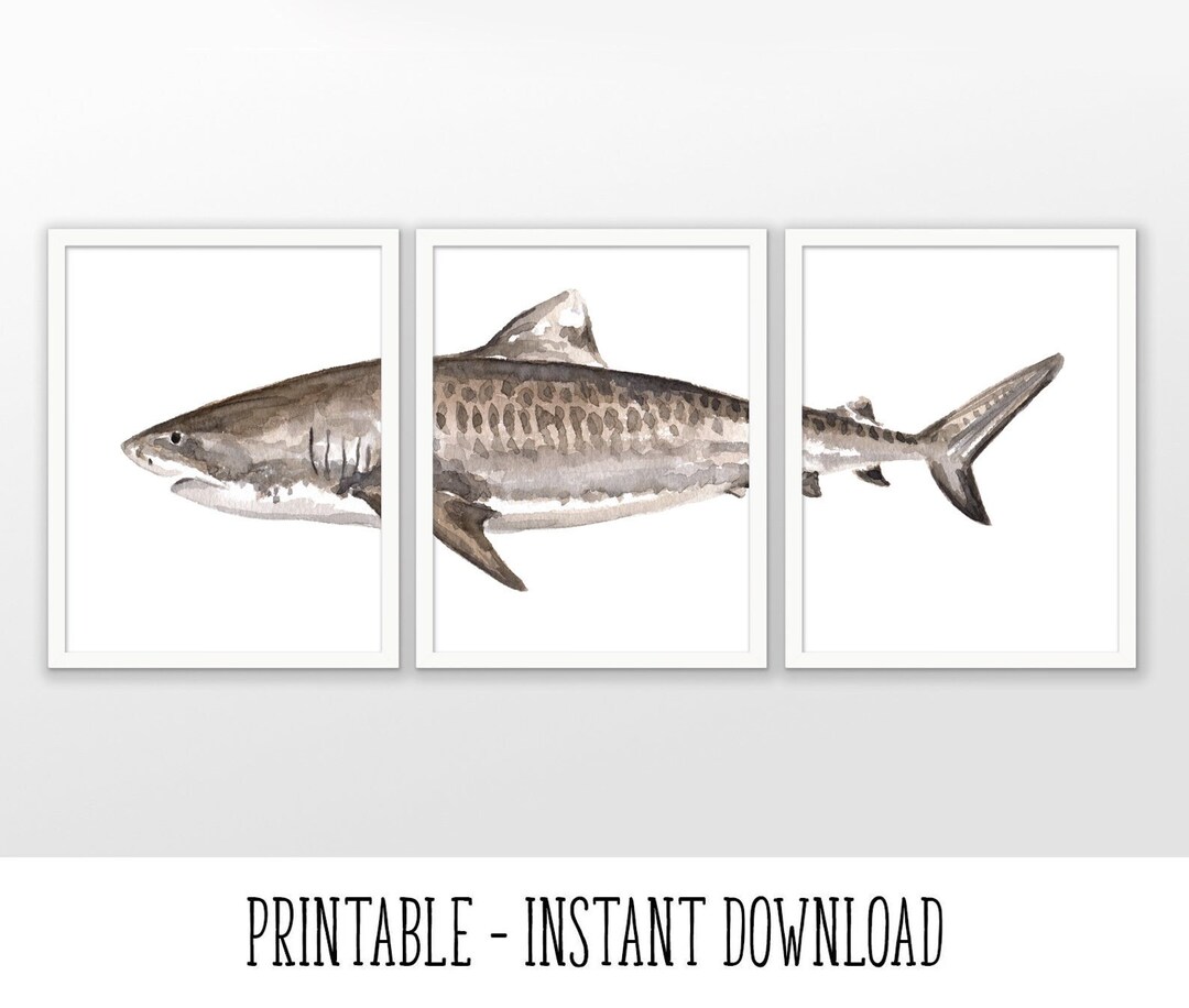 PRINTABLE Tiger Shark Watercolor Art Poster Set of 3, Tiger Shark Art ...