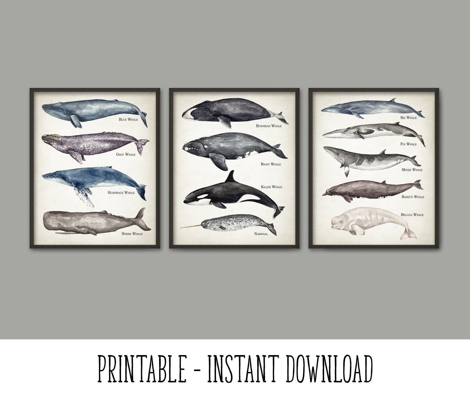 PRINTABLE Whales Watercolor Art Poster Set of 3 Whale of the - Etsy