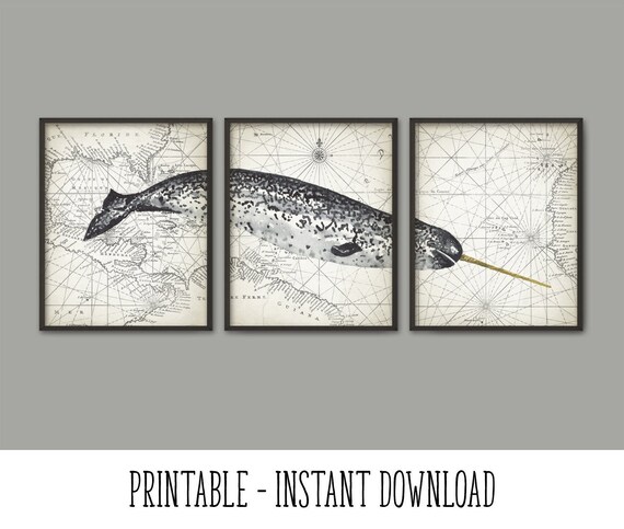 PRINTABLE Narwhal Wall Art Poster Set of 3 Narwhale Art Print - Etsy