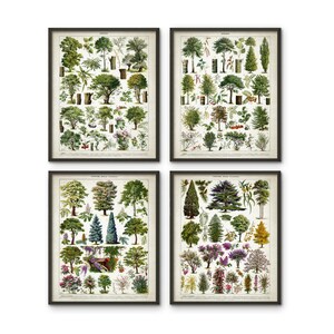 Vintage Tree Art Print Set of 4 - Tree Print - Tree Wall Art - Green ...