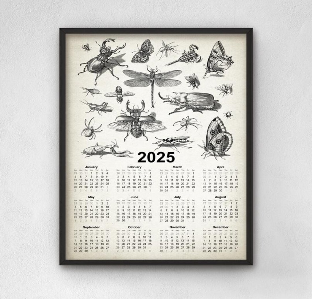 Insect Calendar 2025, Vintage Entomology Wall Art, Zoology Room Decor ...