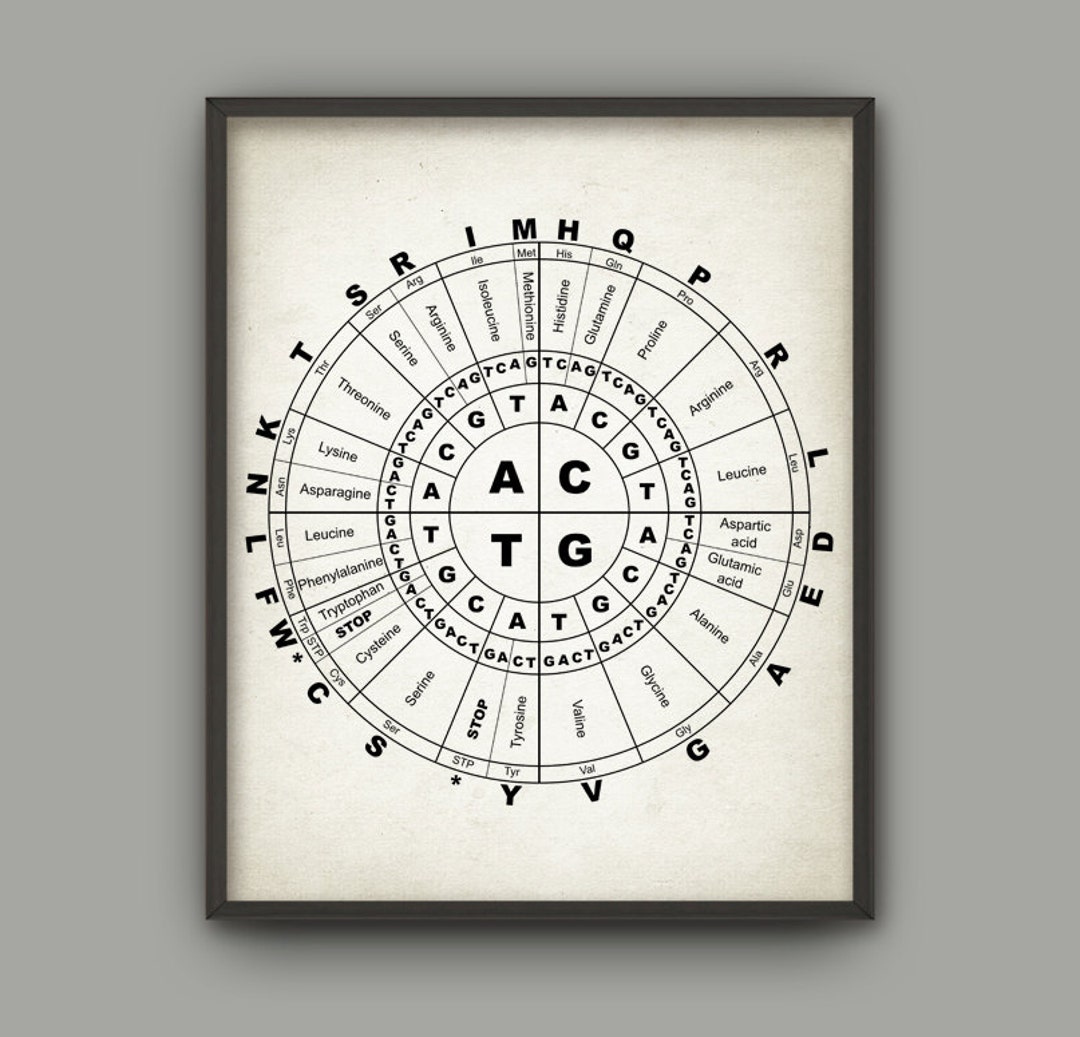 Genetic Code Print, Amino Acids Proteins DNA RNA Base Pairs, Molecular ...
