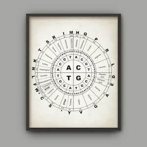 Genetic Code Print, Amino Acids Proteins DNA RNA Base Pairs, Molecular ...