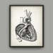Heart Anatomy Print Set of 3 - Human Heart - Left and Right Auricle ...