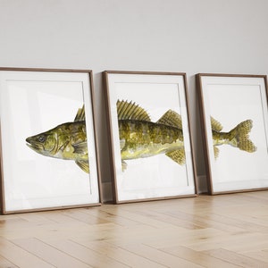 PRINTABLE Walleye Fish Watercolor Print Set of 3 North - Etsy UK