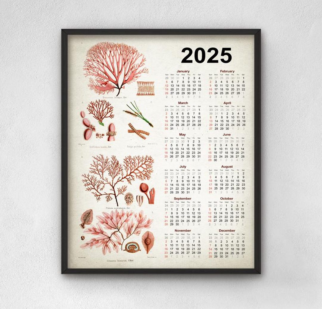 Seaweed Calendar 2025, Vintage Marine Biology Art, Coral Pink Kitchen ...