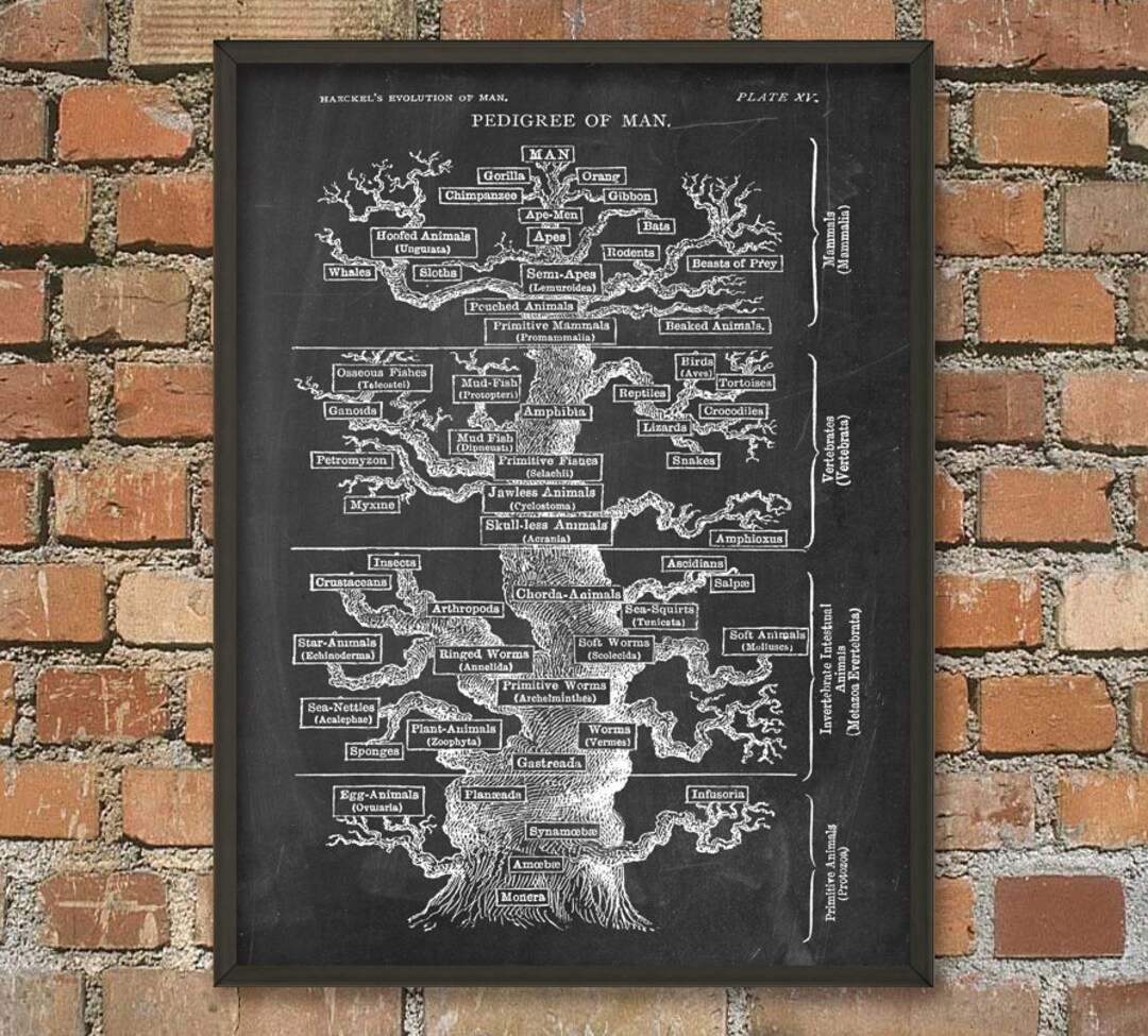 Tree of Life Wall Art Poster - Etsy
