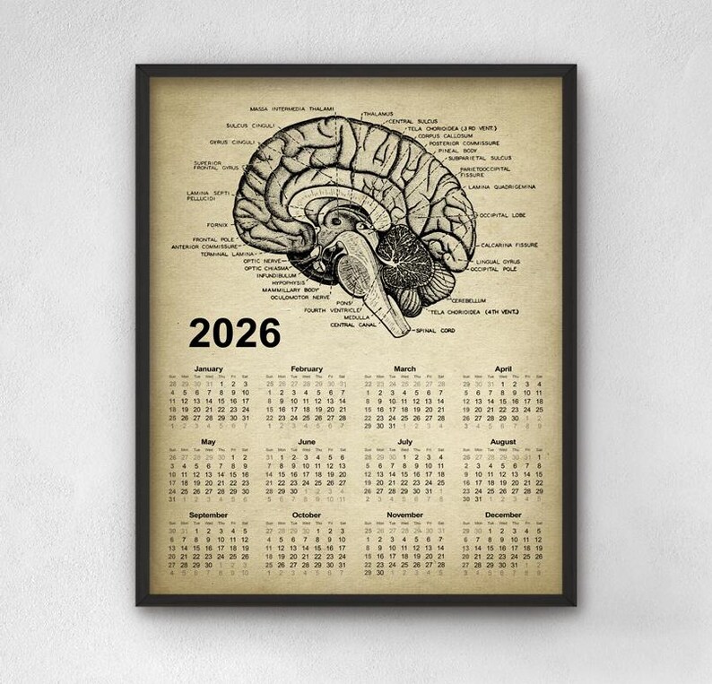 Human Anatomy Brain Calendar 2026, Medical Student, Vintage Anatomy ...