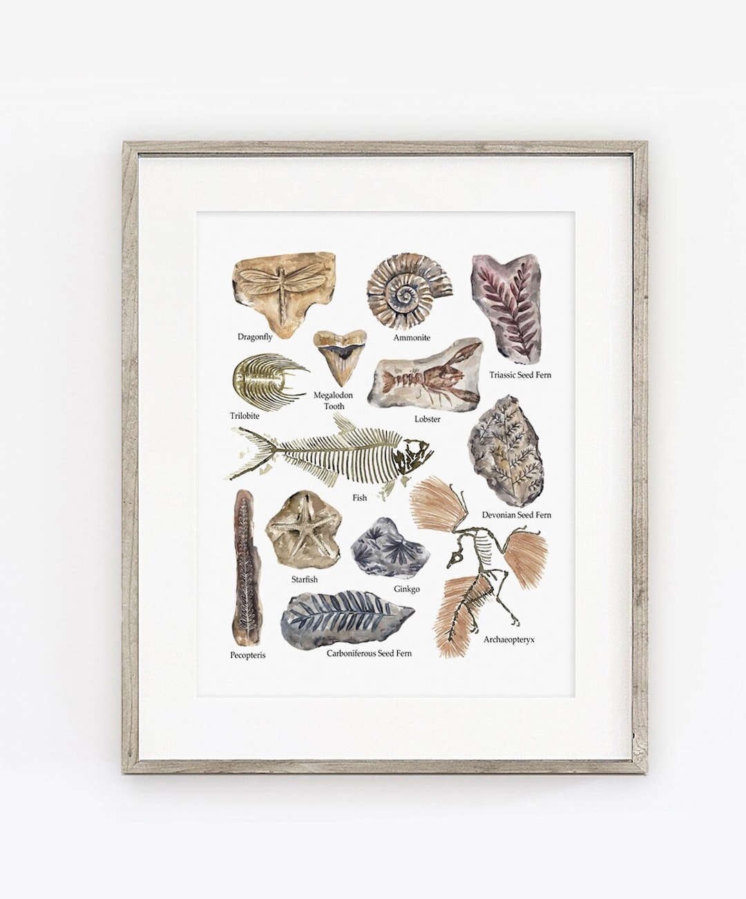 Fossil Print, Paleontology Watercolour Art Poster, Prehistoric Geology ...
