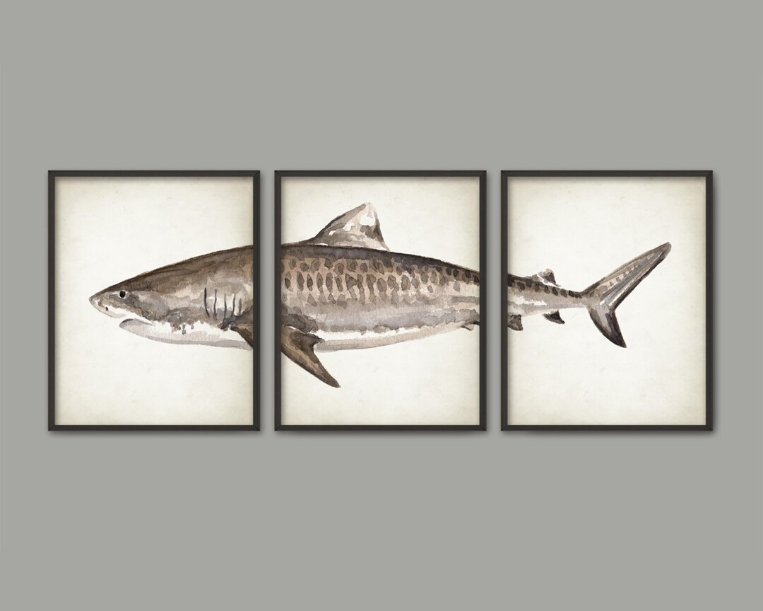 Tiger Shark Watercolor Art Poster Set of 3, Tiger Shark Art Print ...