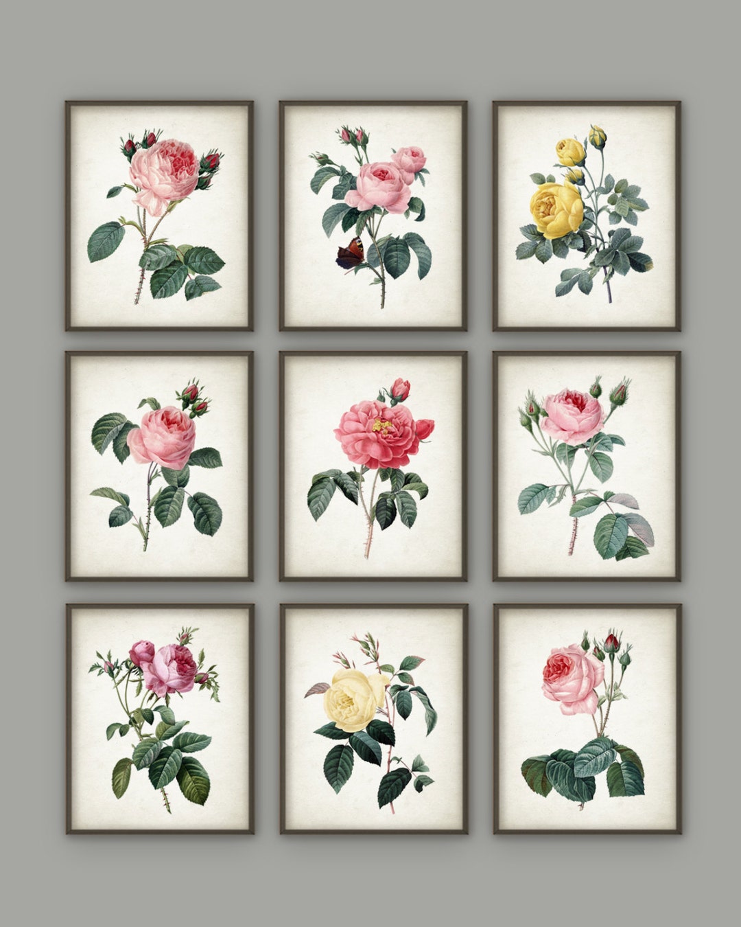 Antique Rose Botanical Print Set of 9, Vintage Roses Botanical Home ...