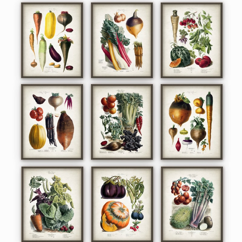 Vegetable Prints - Etsy UK