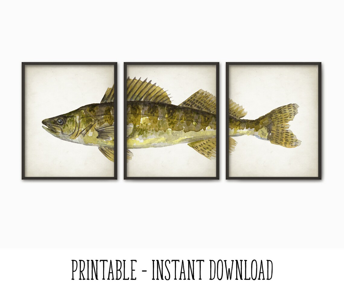 PRINTABLE Walleye Fish Watercolor Print Set of 3 North - Etsy UK