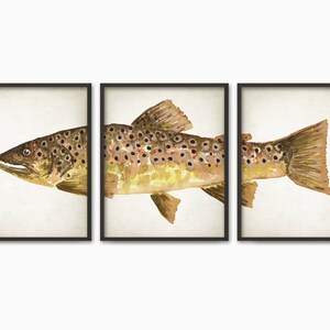 Brown Trout Watercolor Print Set of 3, North American Trout Fish ...