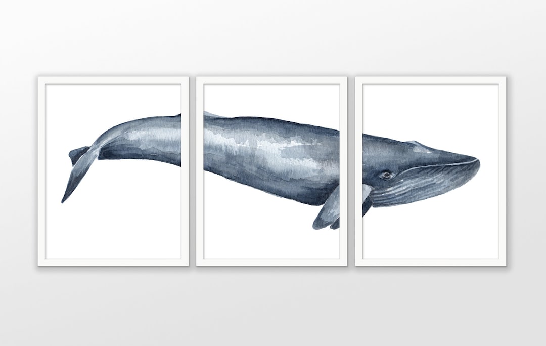 Blue Whale Art Print Set of 3, Blue Whale Watercolor Painting, Blue ...