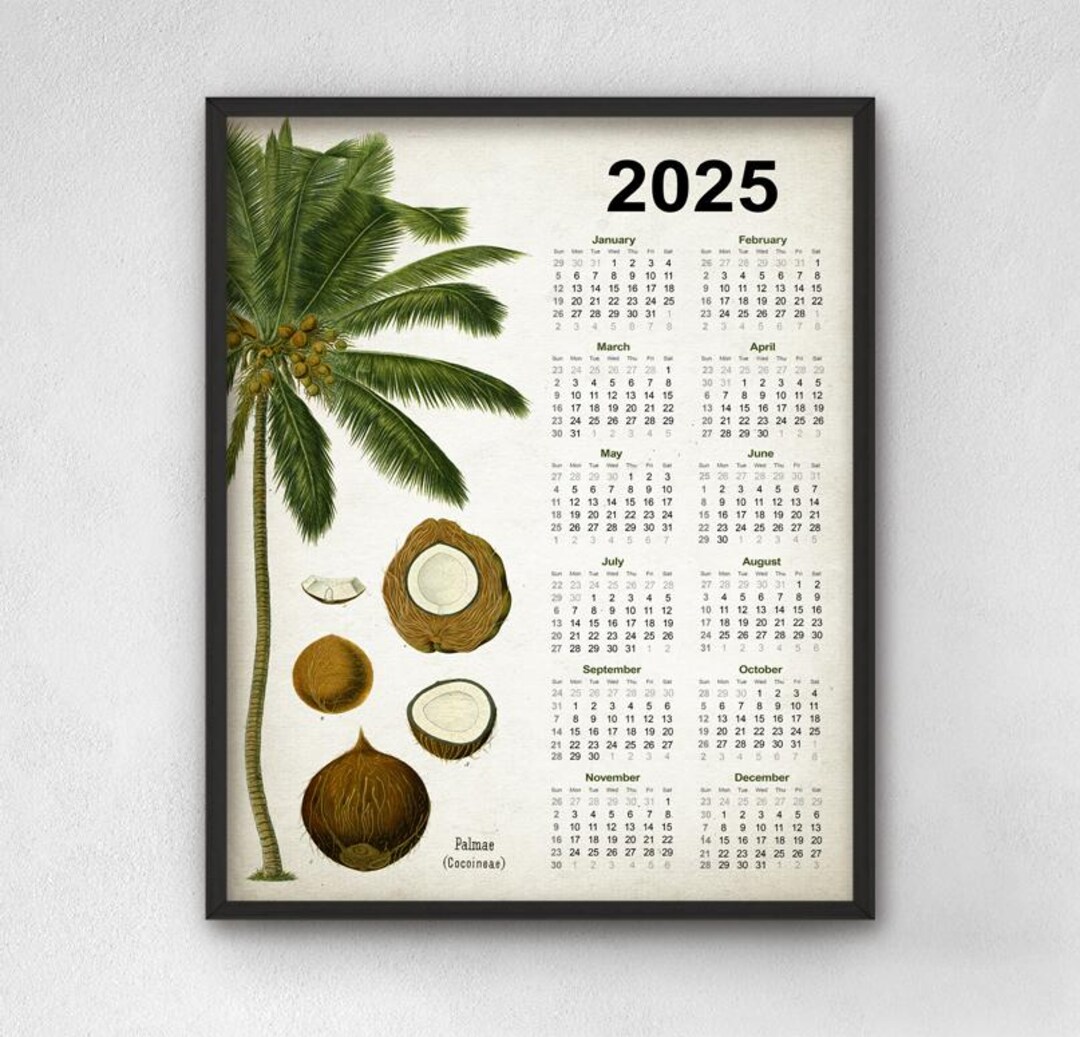 Coconut Palm Tree Calendar 2025, Vintage Botanical Art Print, Tropical ...