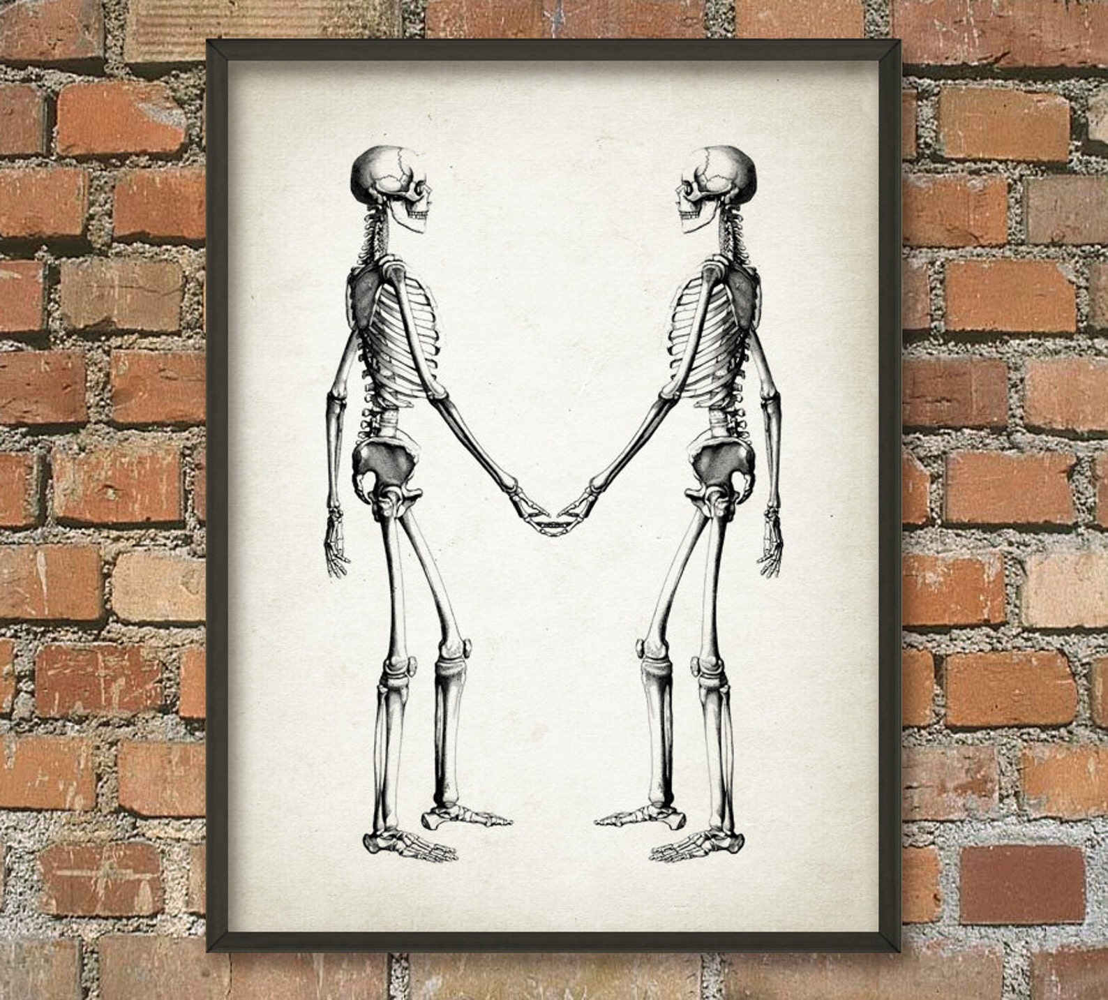 Skeletons Holding Hands Antique Anatomy Wall Art Poster, Vintage Home ...