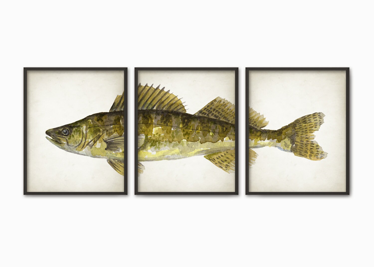 PRINTABLE Walleye Fish Watercolor Print Set of 3 North - Etsy UK