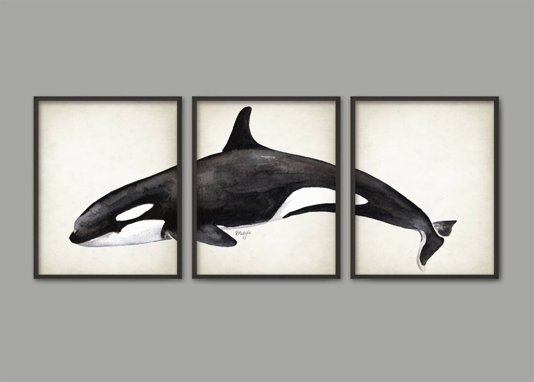 Killer Whale Watercolor Wall Art Poster Set of 3, Orca Whale Art Print ...