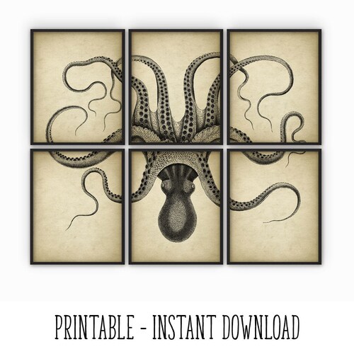 PRINTABLE Octopus Wall Art Poster Set of 6 Octopus Art Print - Etsy