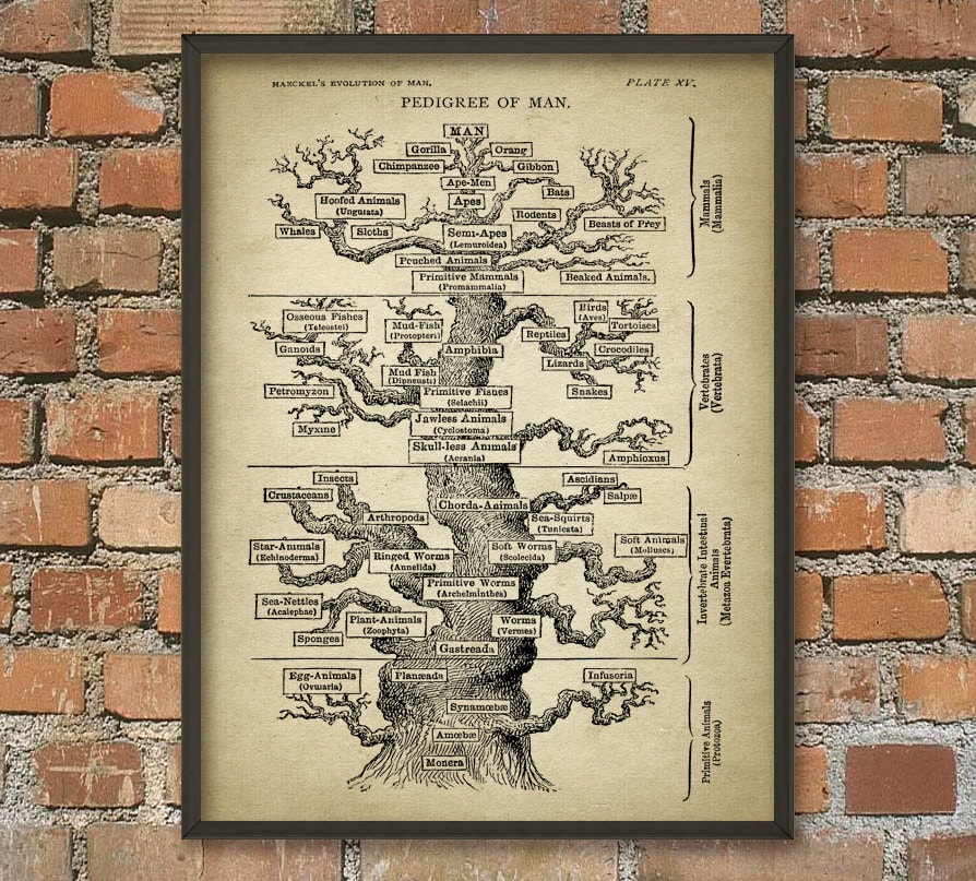 Tree of Life Wall Art Poster - Etsy