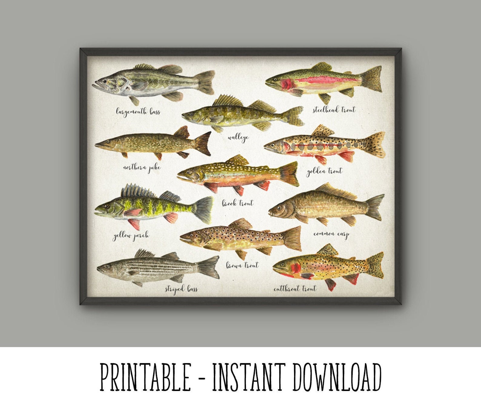 PRINTABLE Fishing Wall Art Print American Fish Watercolor - Etsy