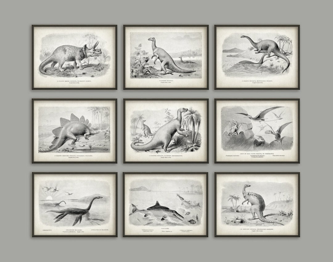 Dinosaur and Prehistoric Animal Wall Art Print Set of 9, Vintage ...